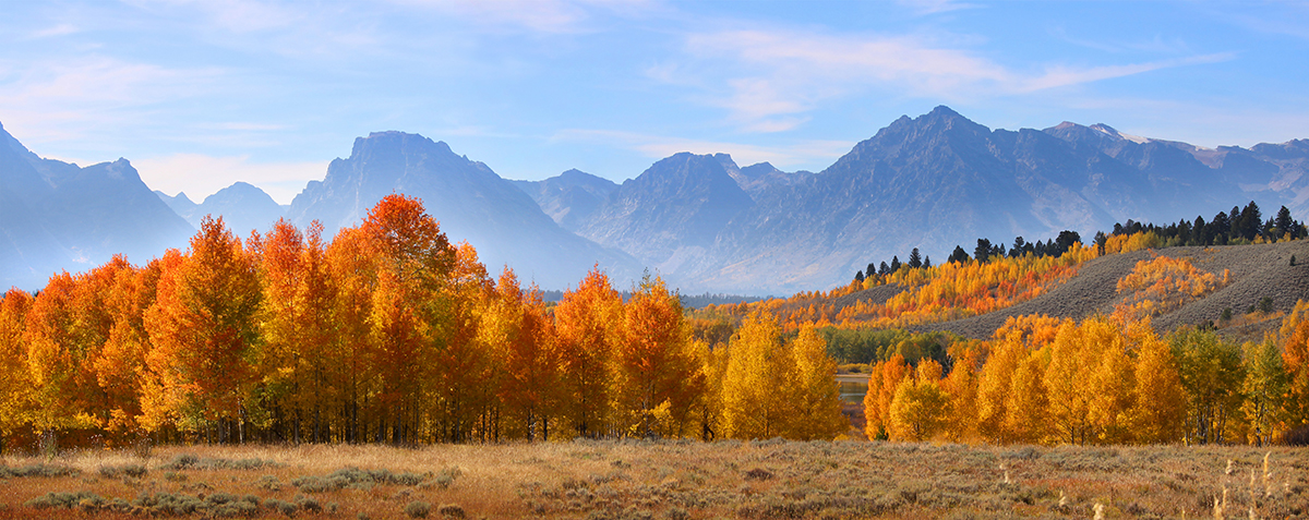 Administration - Wyoming Department of Environmental Quality