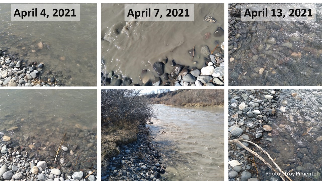 DEQ and partners work to manage river sediment, improve fishery ...